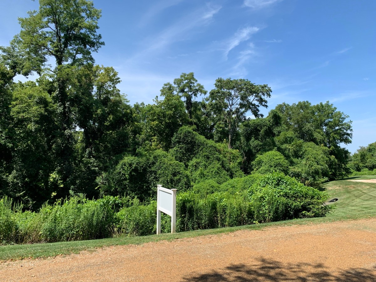 Mouse Lady – JBR.com